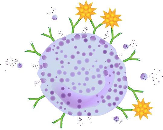 Orthopedic Analysis | ADVANCED IMMUNOLOGICAL TESTING LAB